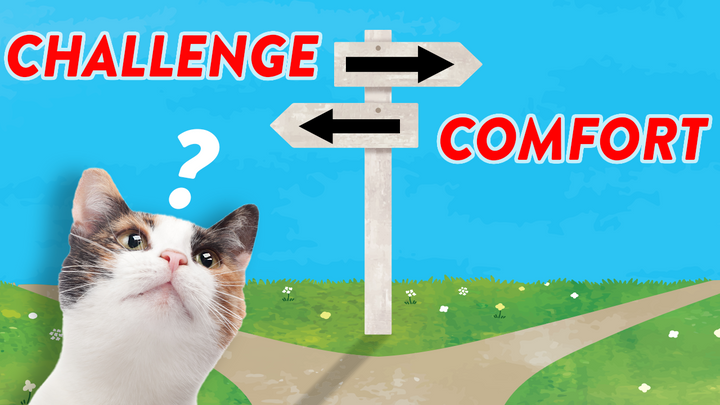 Blogs – Jackson Galaxy