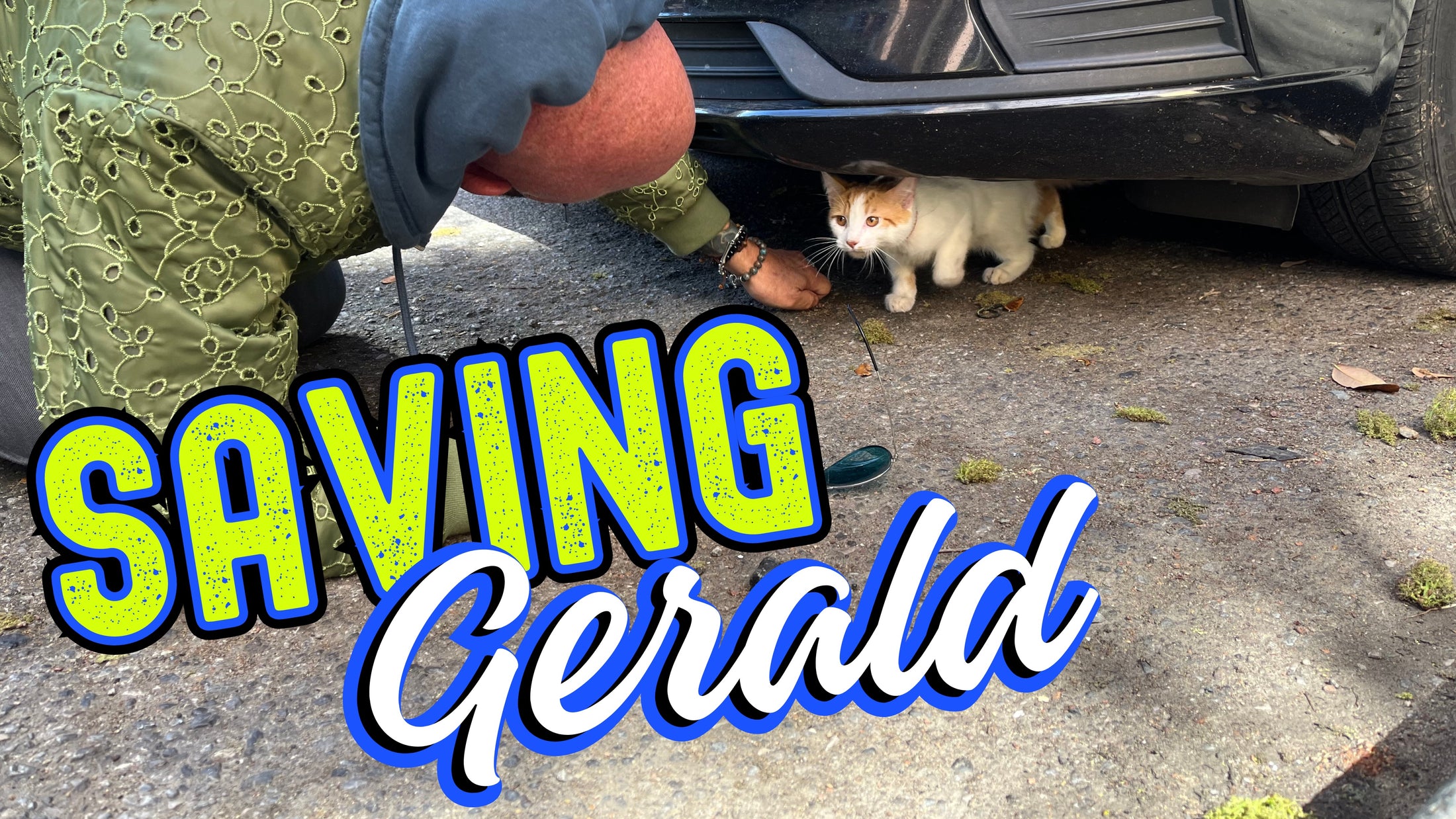 The Cat Distribution System Strikes Again! – Jackson Galaxy