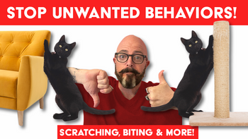 Stop Unwanted Behavior – Jackson Galaxy