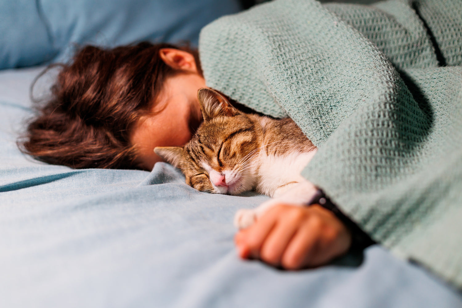 Train Your Cat to Let You Sleep - Jackson Galaxy