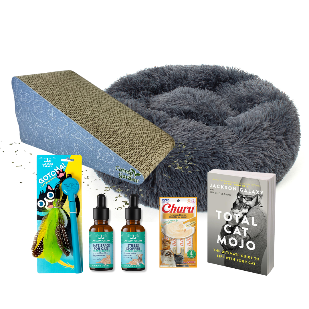 The Wallflower Bundle (For Shy Cats!) – Jackson Galaxy