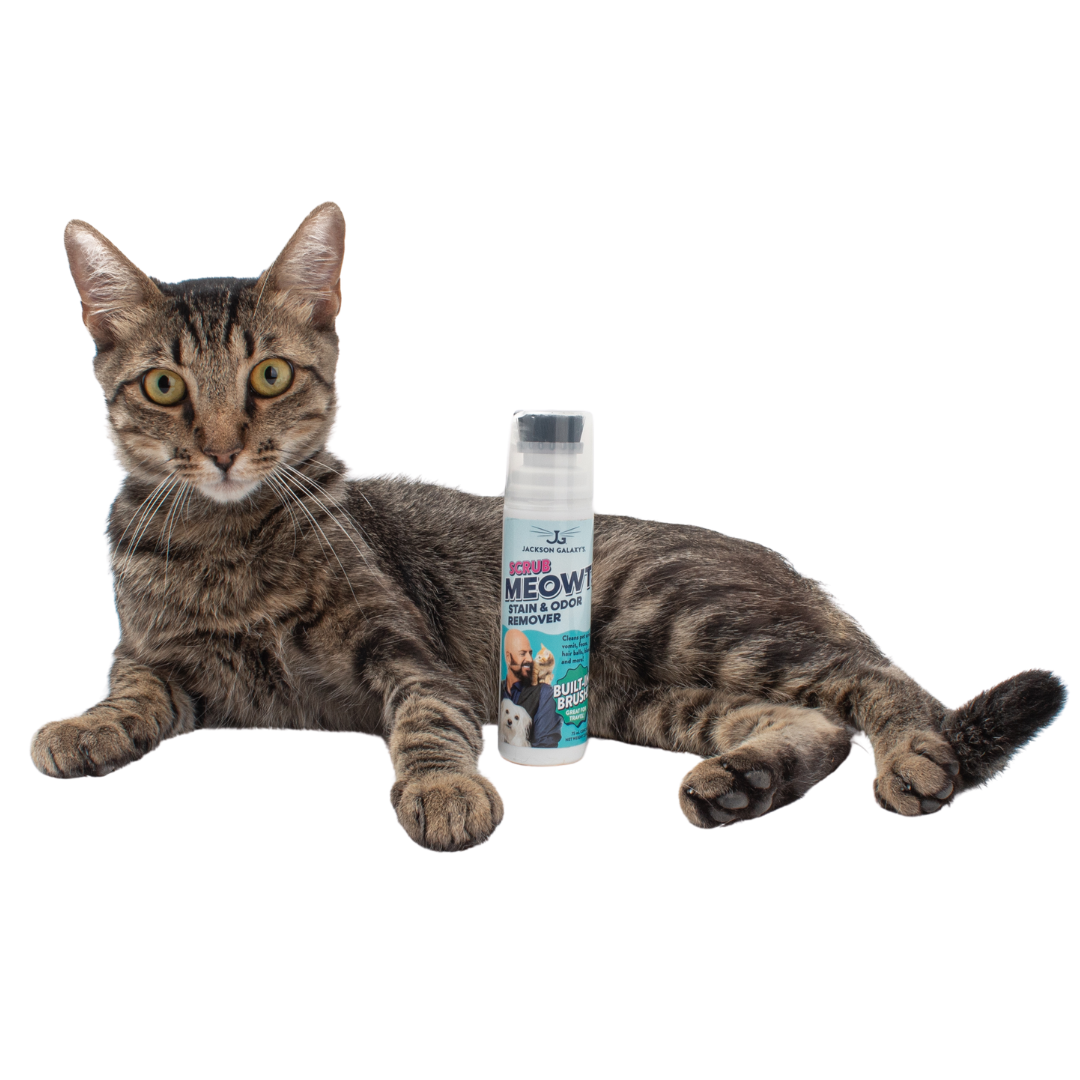 Scrub Meowt! Travel Cleaner by Jackson Galaxy