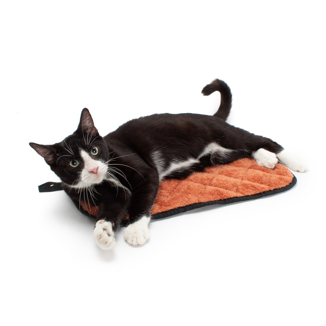 Cat Beds – Jackson Galaxy