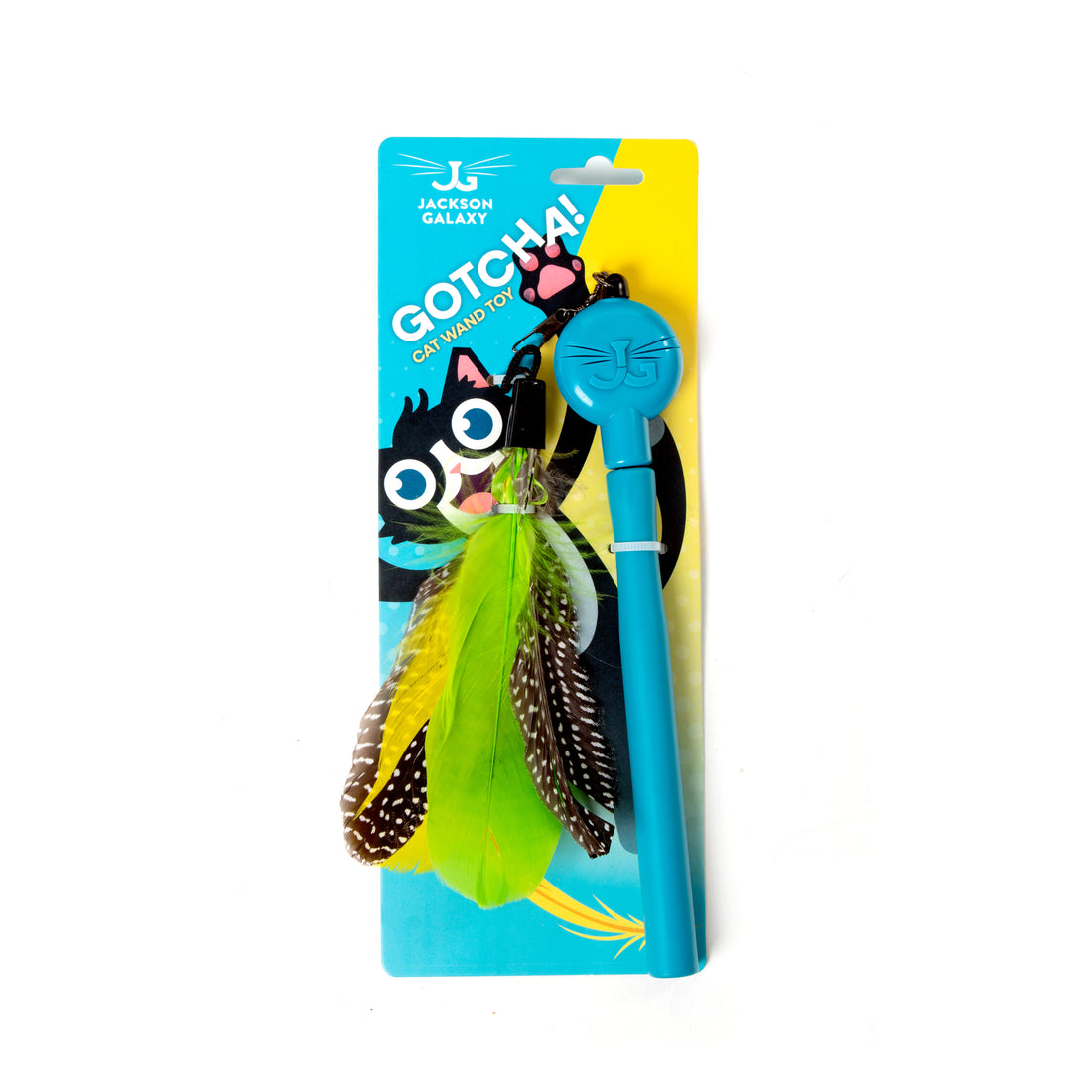 My Guide to Help with NAUGHTY Cat Behavior! – Jackson Galaxy