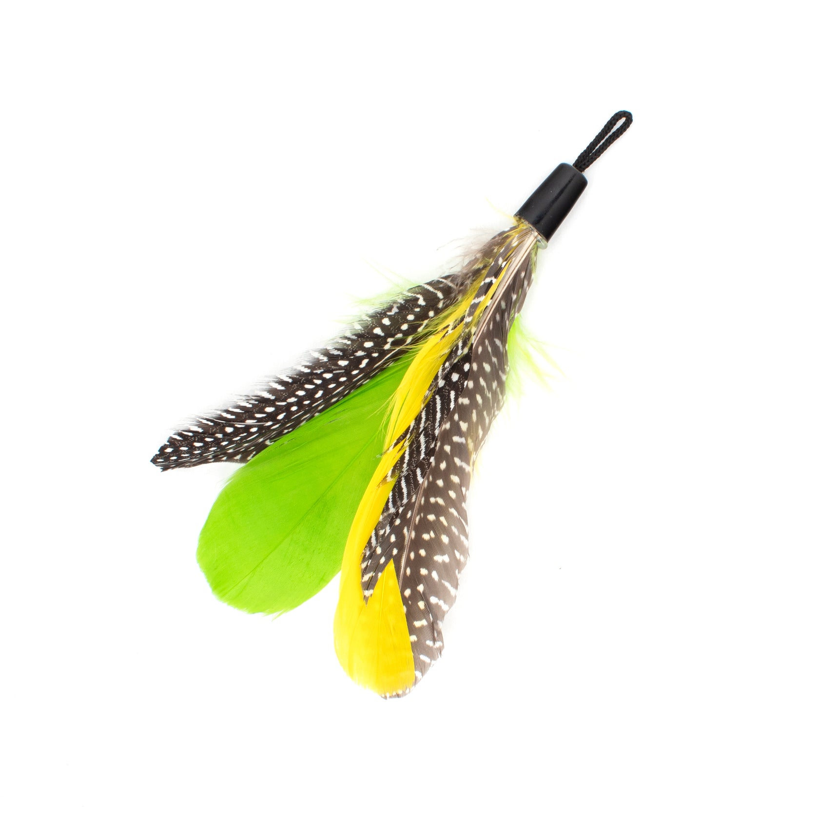 The Cat Distribution System Strikes Again! – Jackson Galaxy