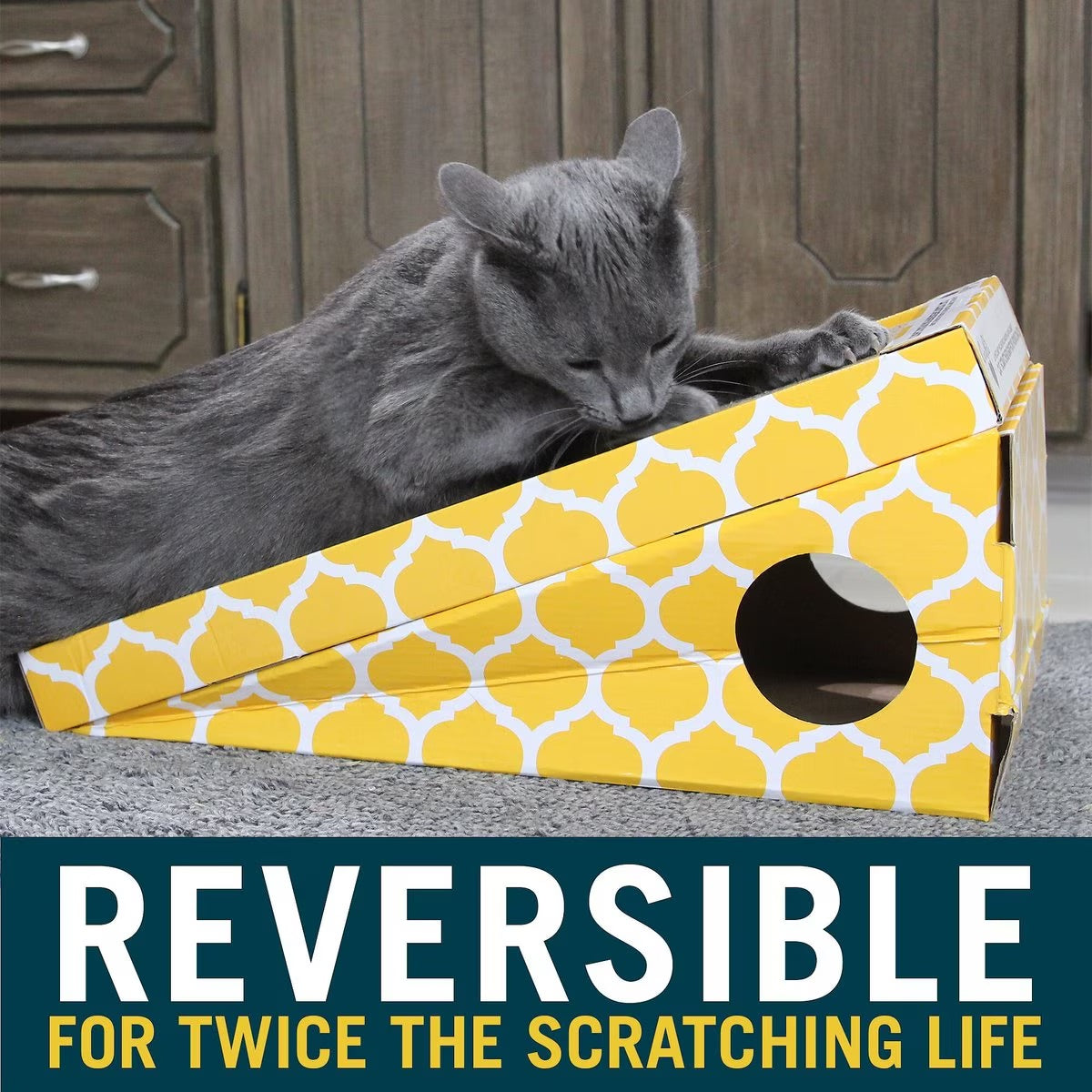 Stop Unwanted Behavior – Jackson Galaxy