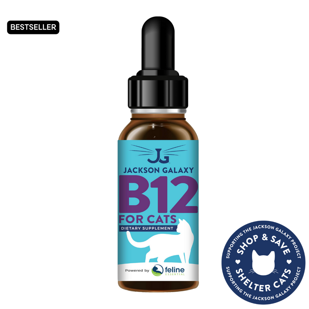 Jackson Galaxy Store