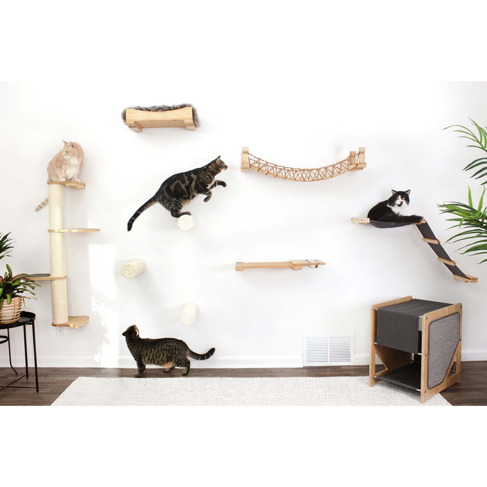 Our Wall Mounted Cat Bridge By Catastrophic Creations Jackson Galaxy