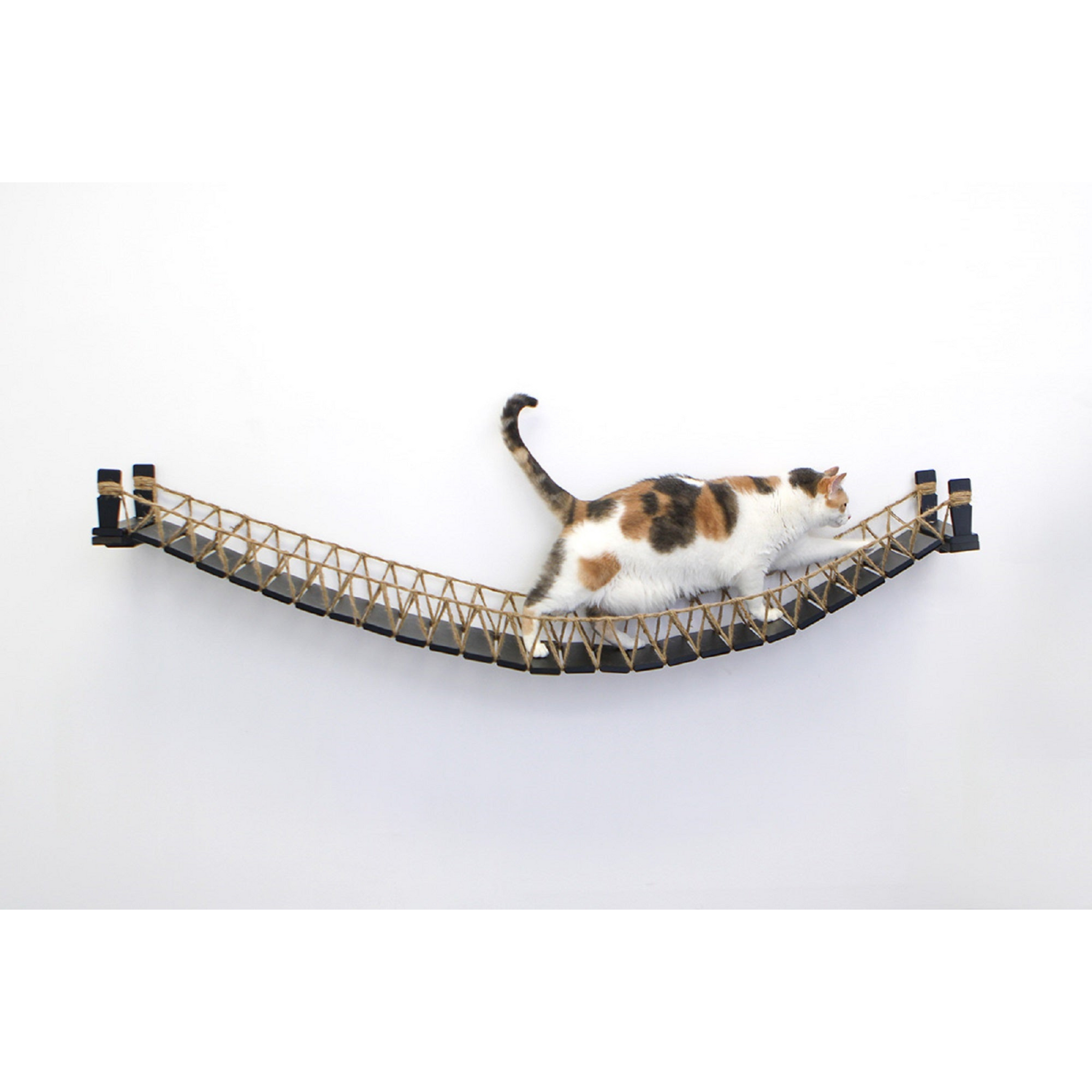 Our Wall Mounted Cat Bridge By Catastrophic Creations Jackson Galaxy