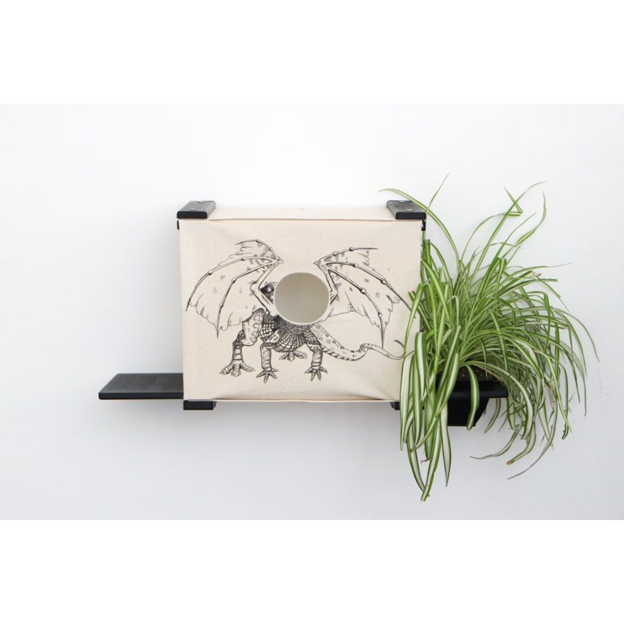 Deluxe Cat Cubby Bed For Walls By Catastrophic Creations Jackson Galaxy