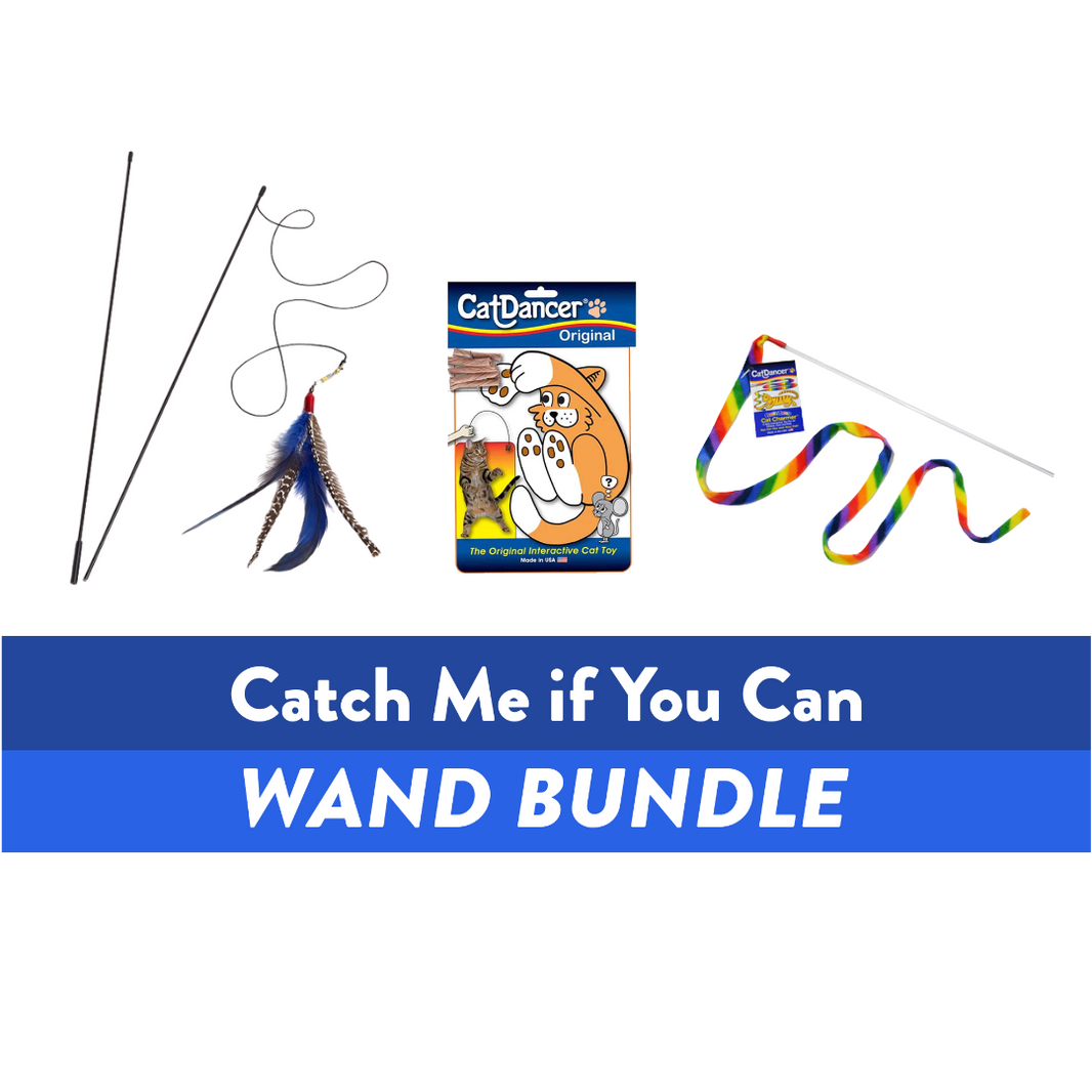 Aggression In Cats - Jackson Galaxy