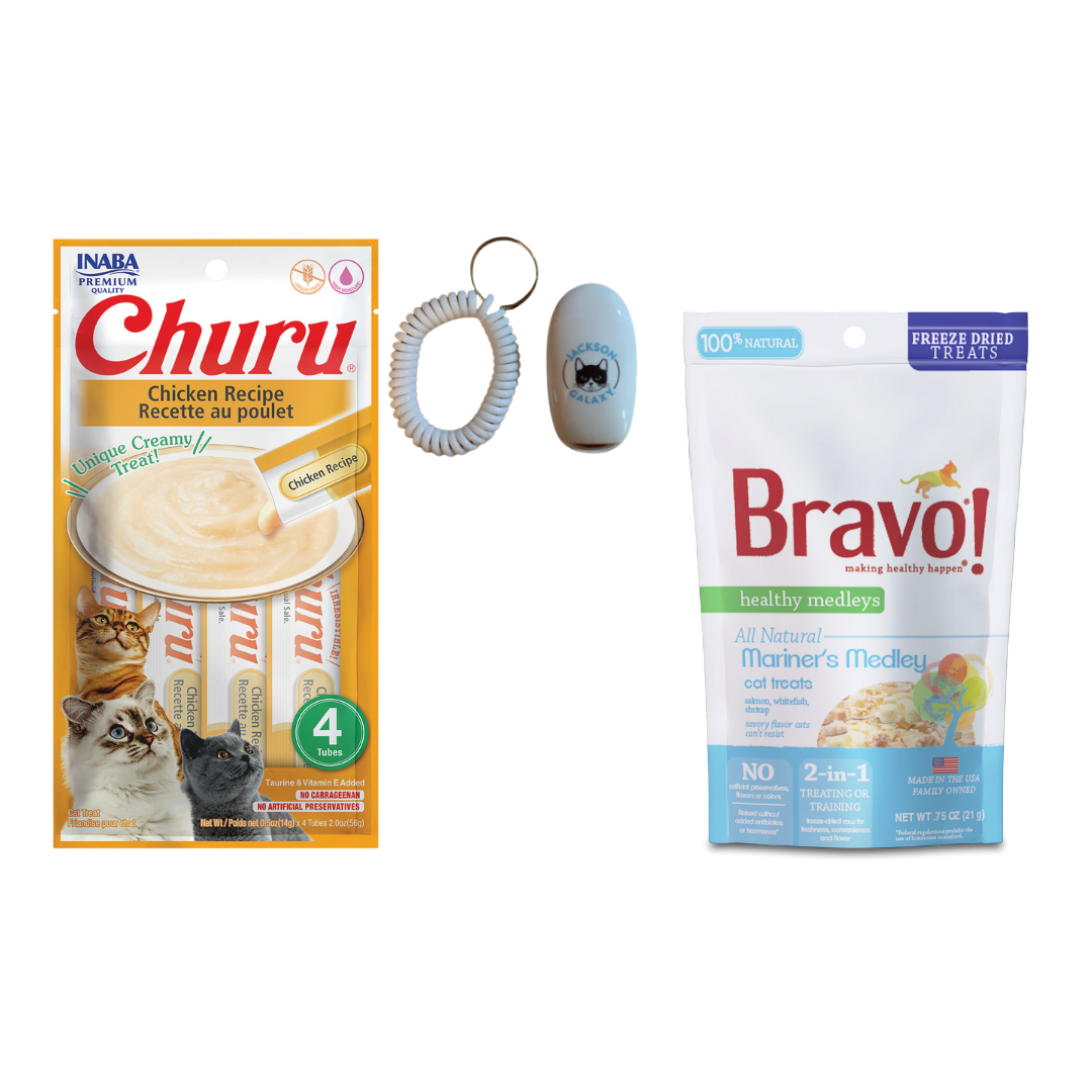 Clicker Training Your Cat – Jackson Galaxy