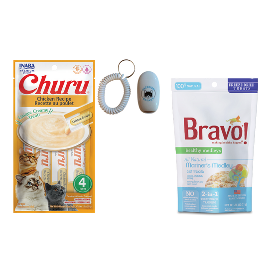 Clicker Training Your Cat – Jackson Galaxy