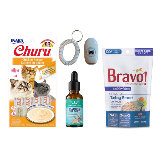 Clicker Training Your Cat – Jackson Galaxy