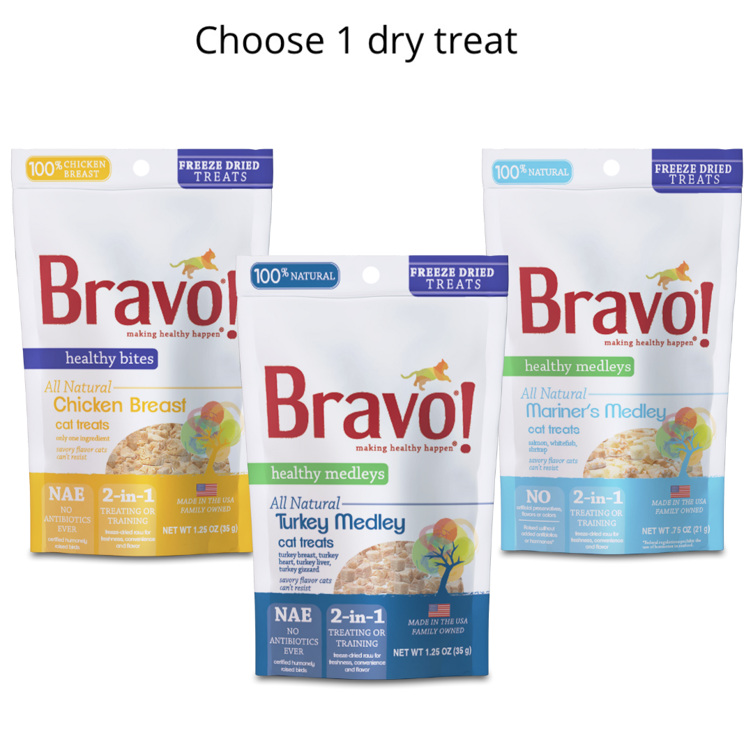 Clicker Training Your Cat – Jackson Galaxy