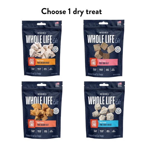 Clicker Training Your Cat – Jackson Galaxy