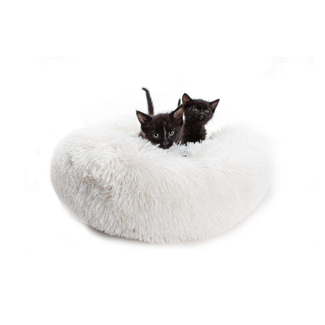 Cat Beds – Jackson Galaxy