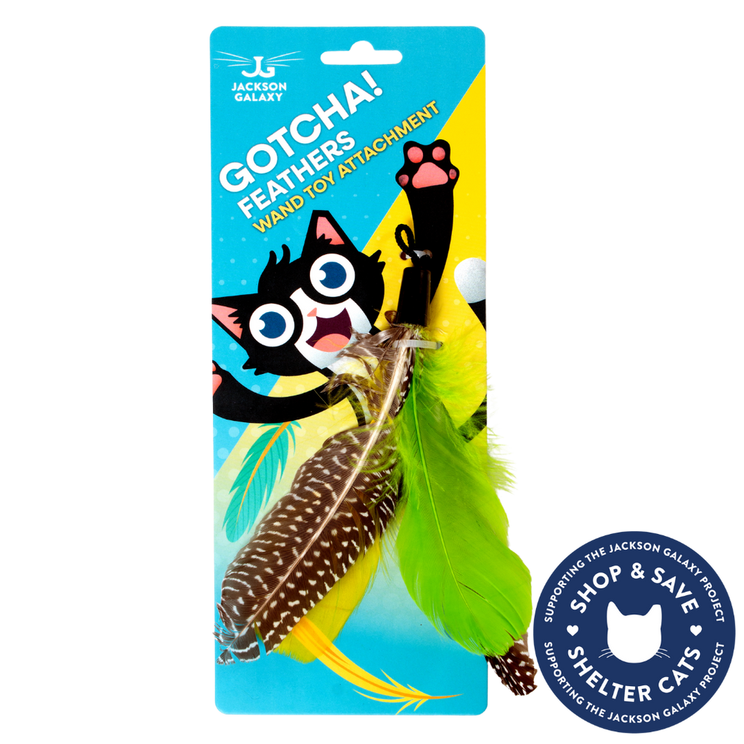 For Cats – Jackson Galaxy