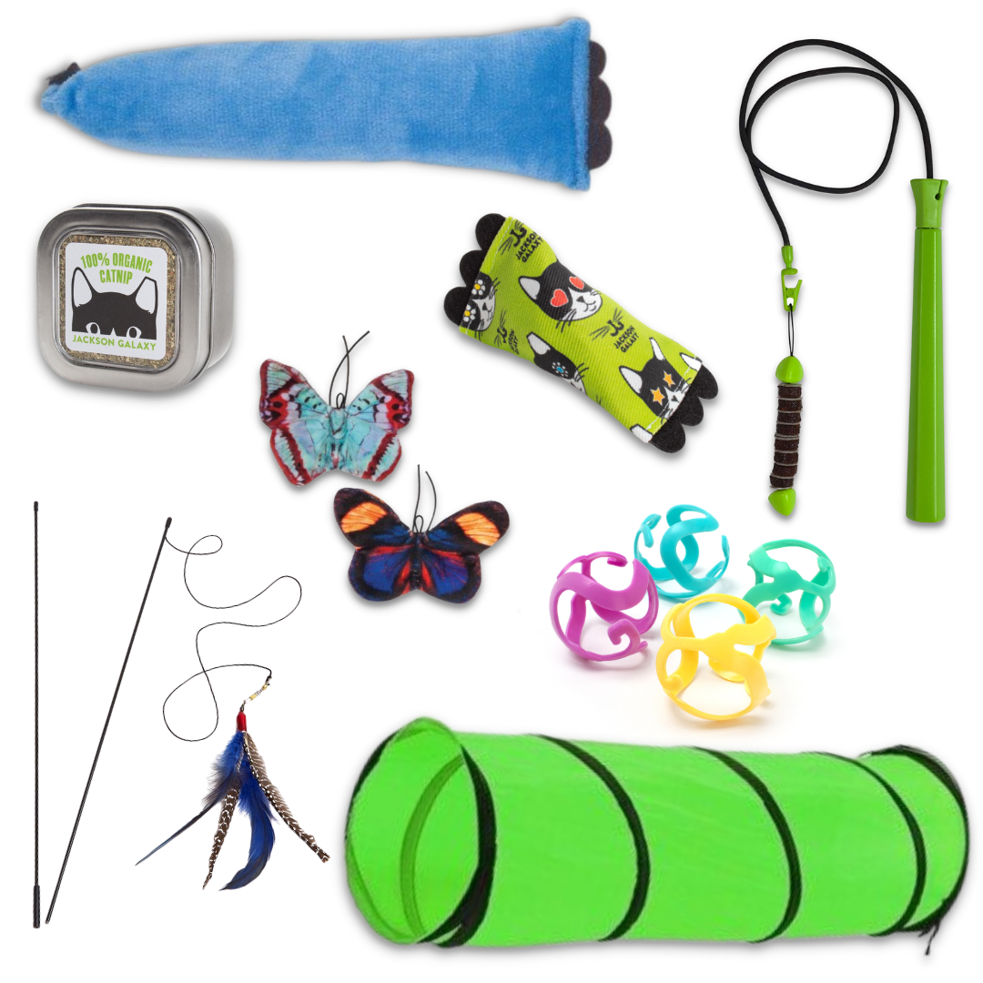 My Guide to Help with NAUGHTY Cat Behavior! – Jackson Galaxy