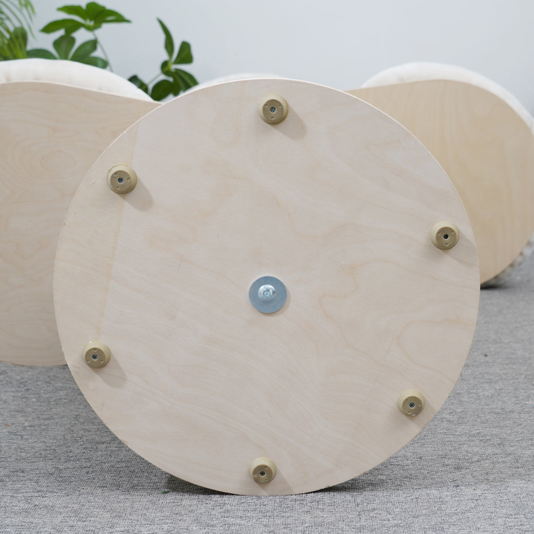 Tips to Catify Your Home – Jackson Galaxy