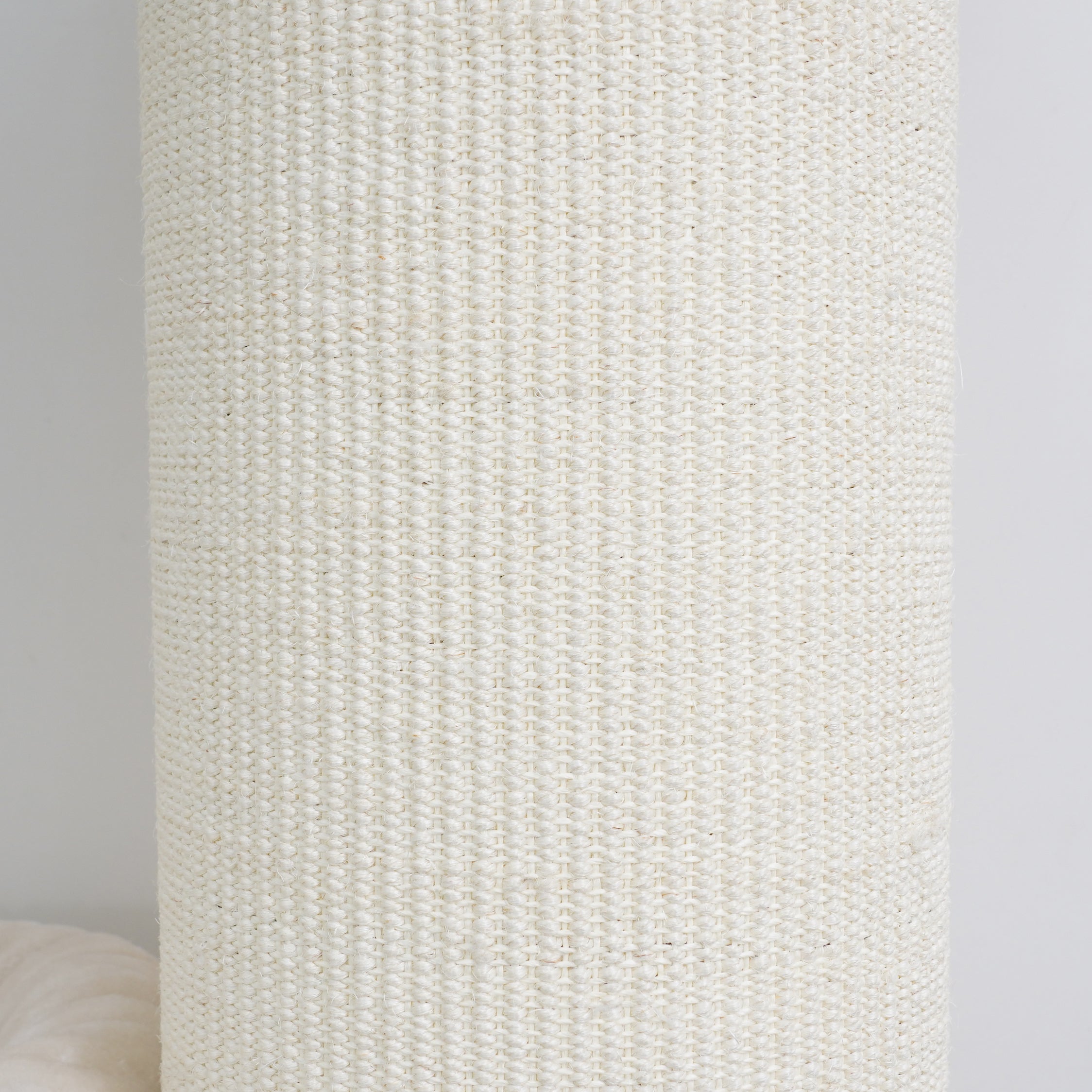 Tips to Catify Your Home – Jackson Galaxy