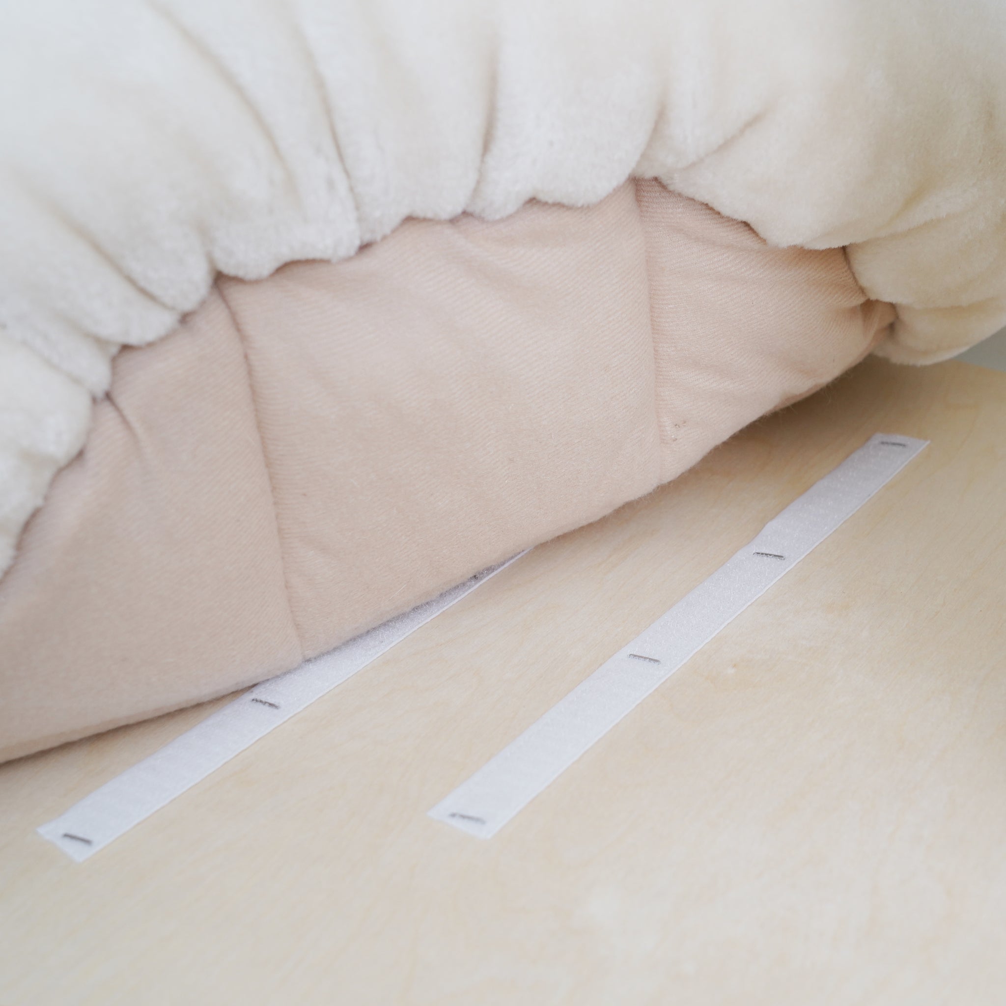 Tips to Catify Your Home – Jackson Galaxy