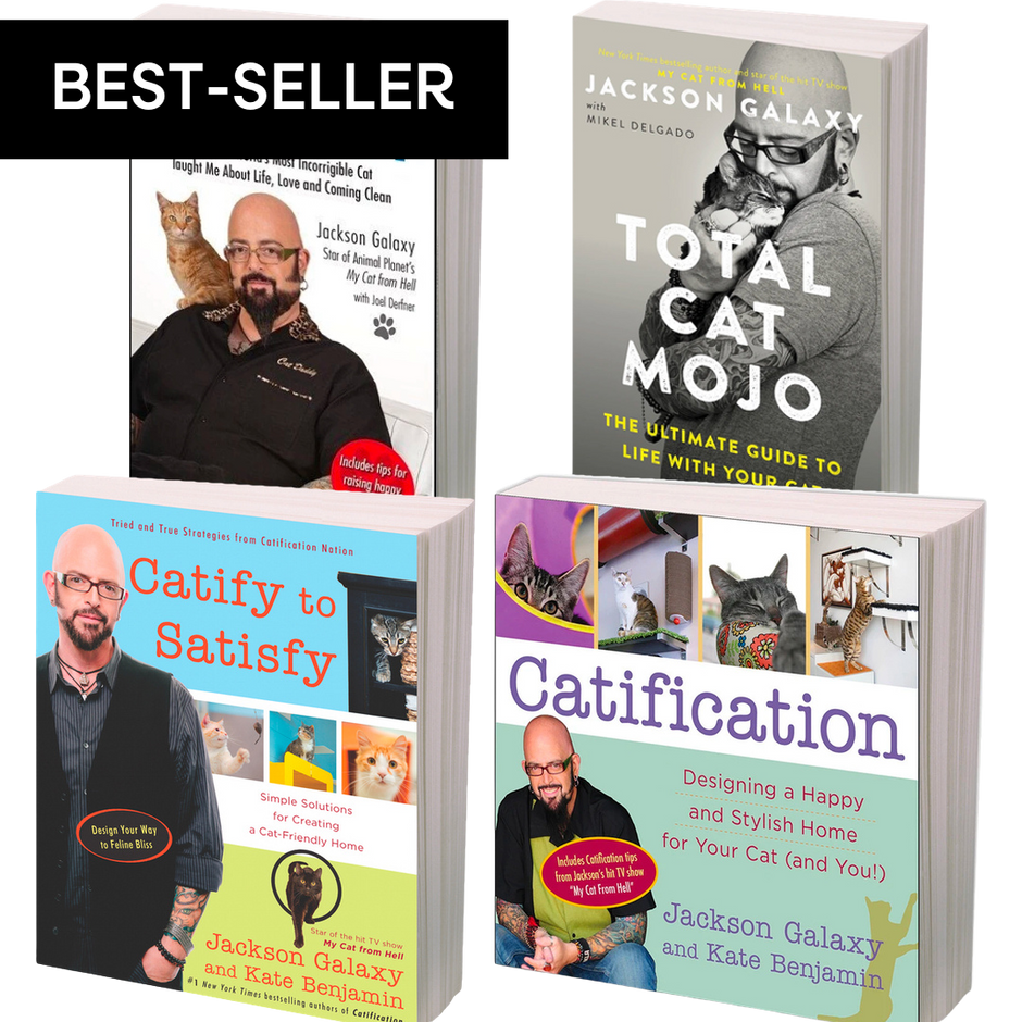 Jackson Galaxy Store