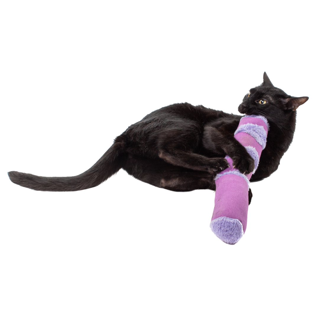 Toys – Jackson Galaxy