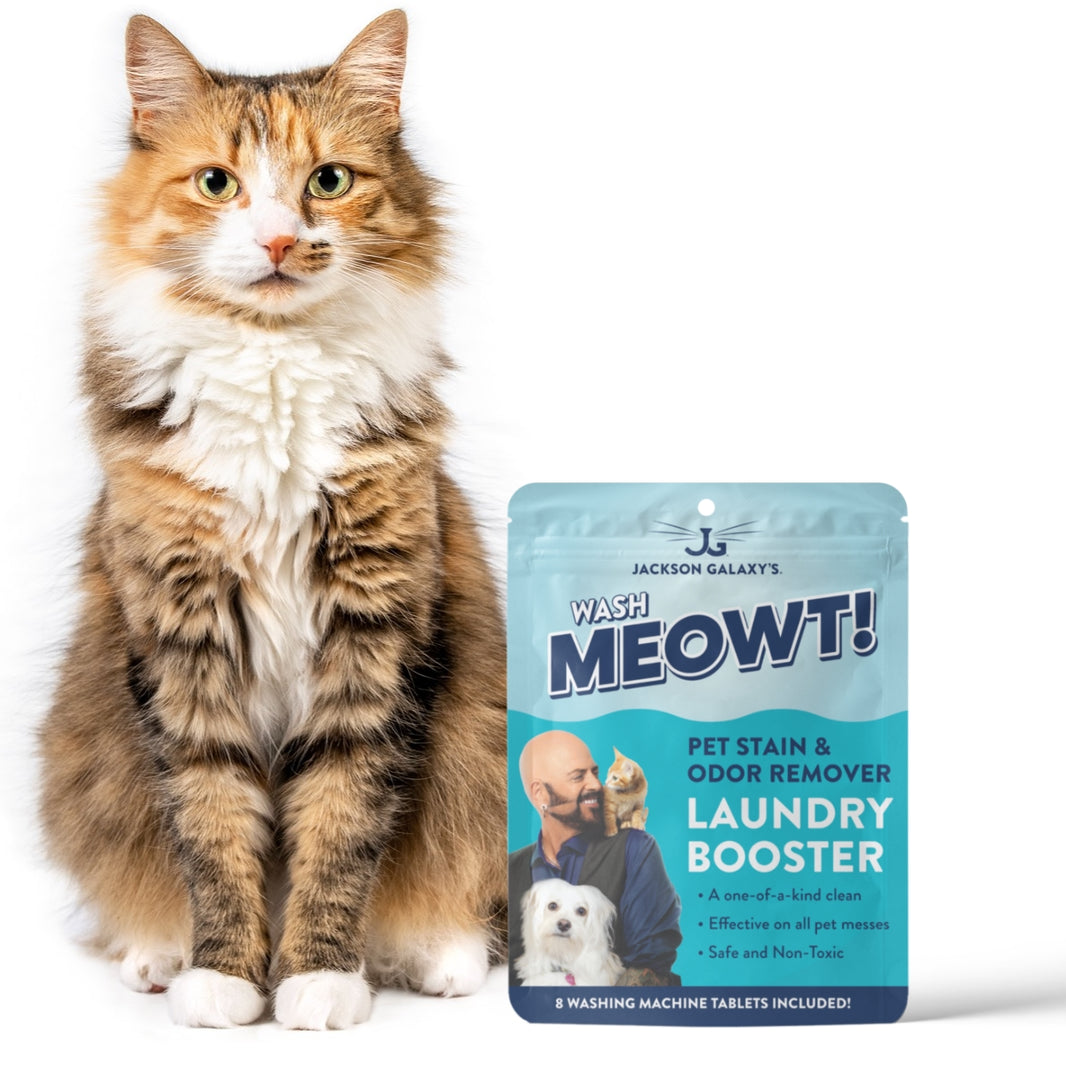 Jackson's Essentials – Jackson Galaxy