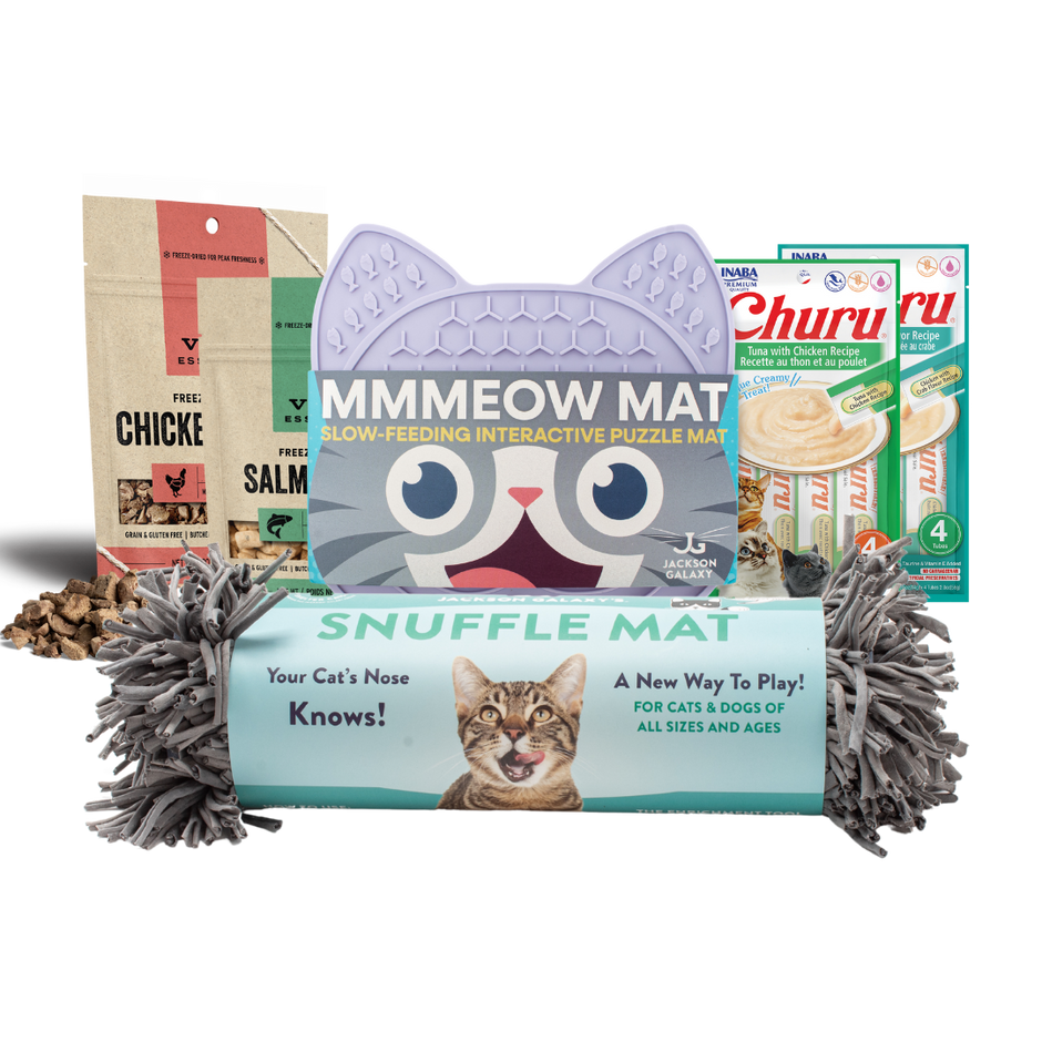 Jackson Galaxy Store