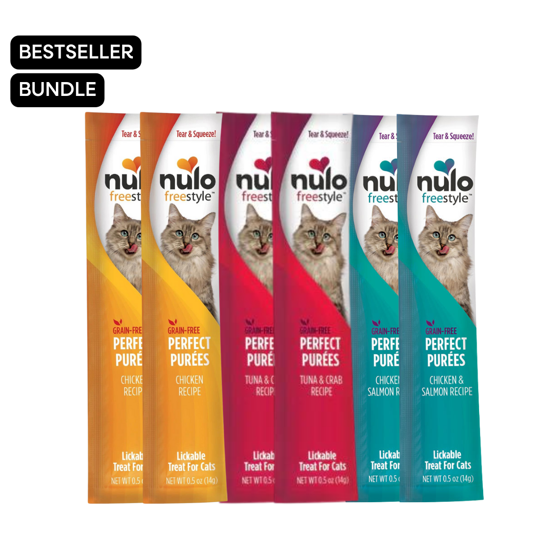 Jackson Galaxy Store