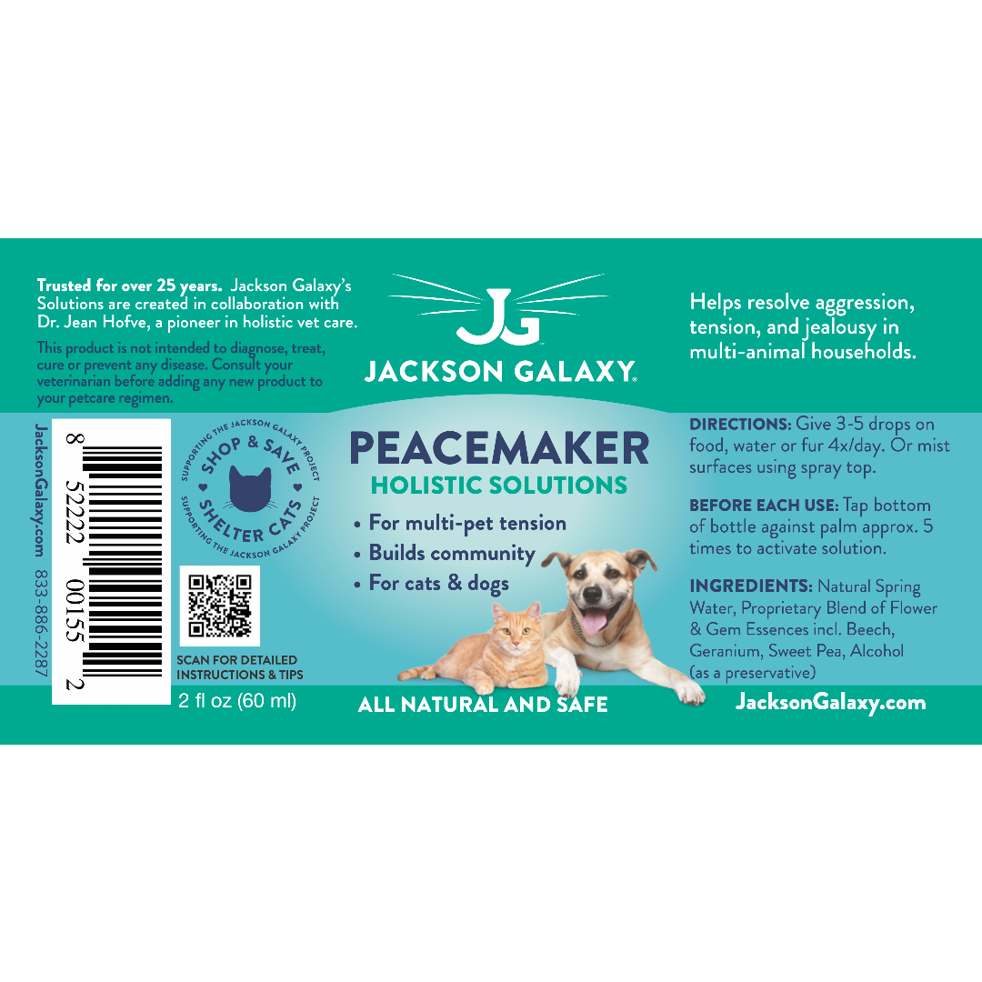 The Do’s and Don’ts of Introducing Cats to Each Other | Jackson Galaxy