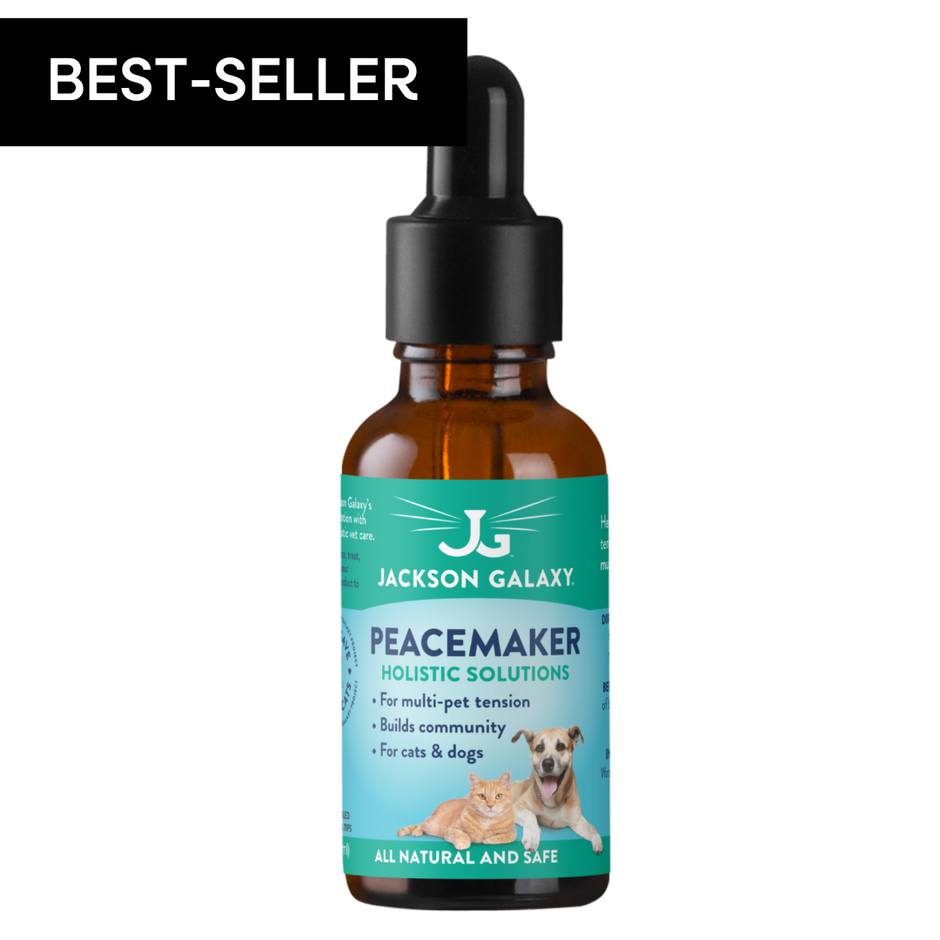 Springles! – Jackson Galaxy