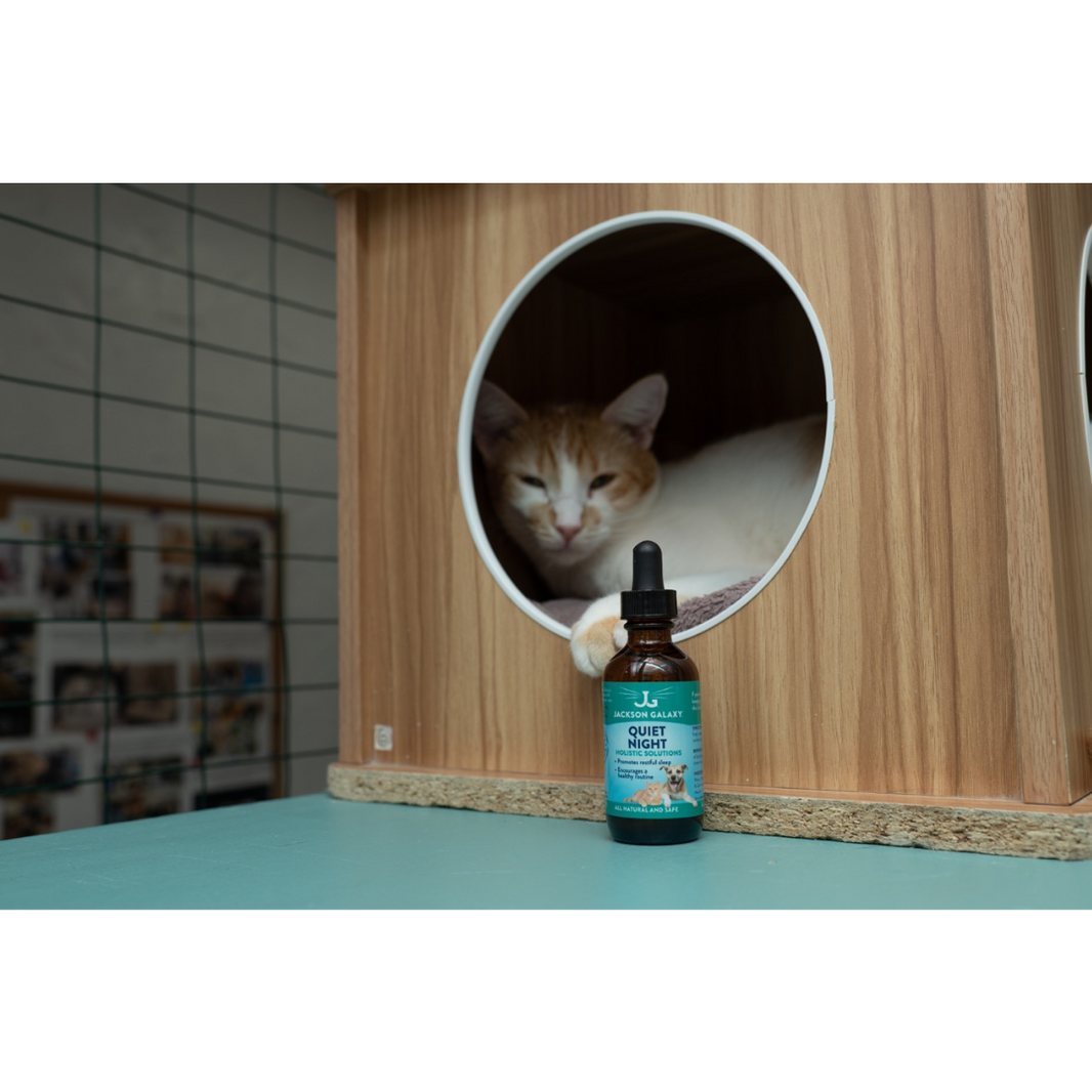 Hyperactivity – Jackson Galaxy