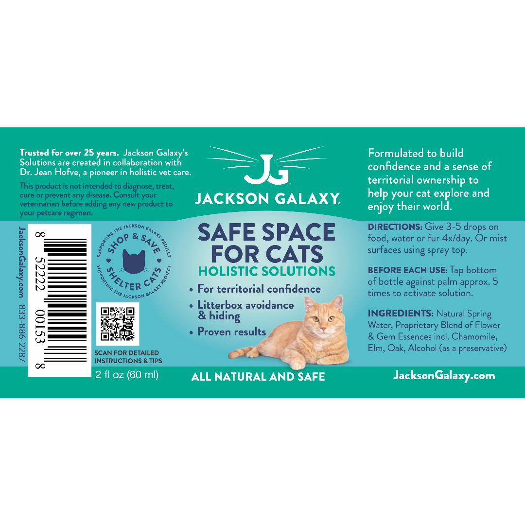 8 Types of Cat Aggression Explained! – Jackson Galaxy