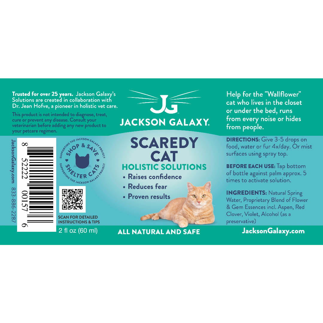 Scaredy Cat - For the Shy & Timid Cat by Jackson Galaxy