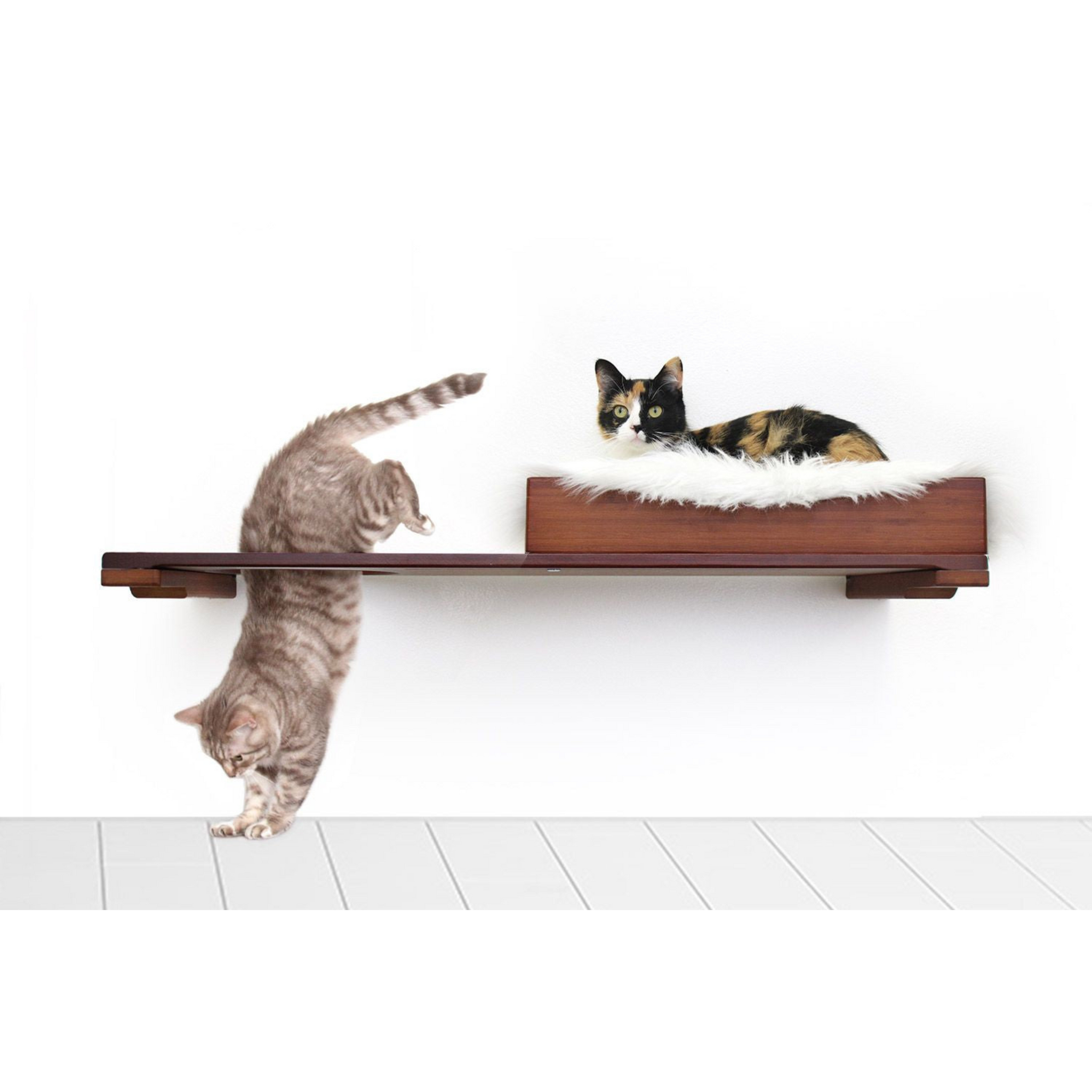 The Nest A Plush Wall Cat Bed By Catastrophic Creations Jackson Galaxy