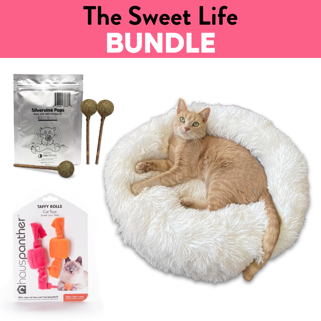 Cat Beds – Jackson Galaxy