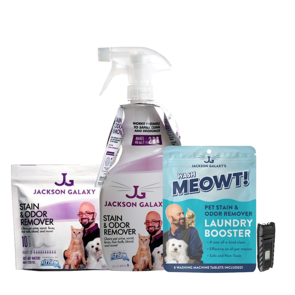 Jackson Galaxy Store