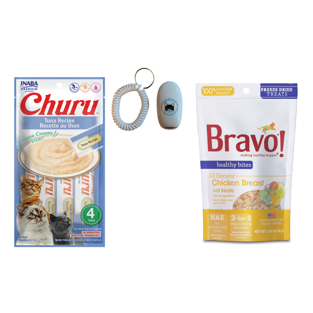 Clicker Training Your Cat – Jackson Galaxy