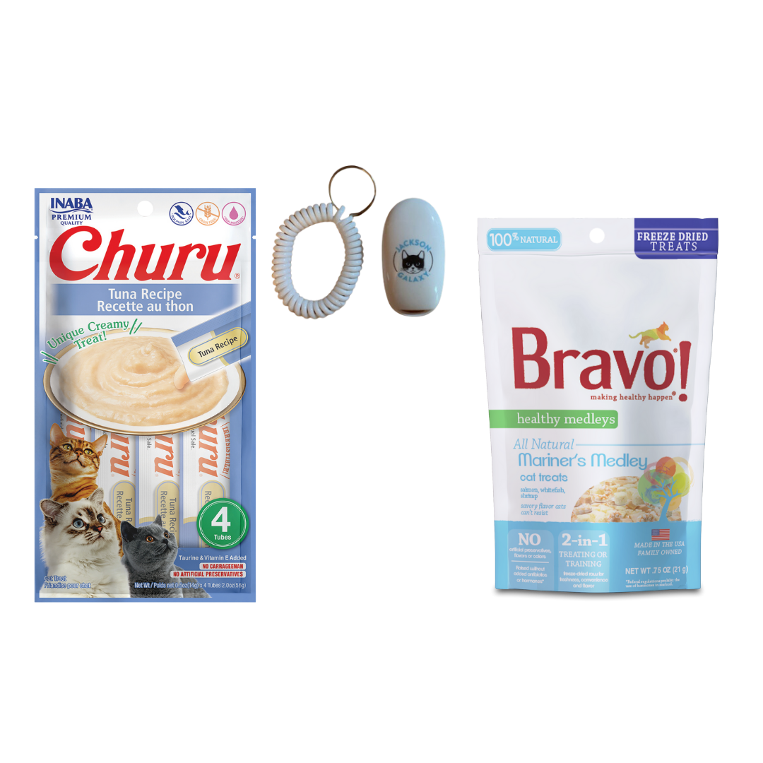 Clicker Training Your Cat – Jackson Galaxy