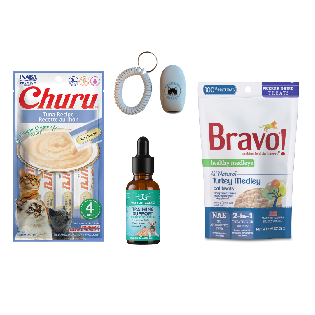 Clicker Training Your Cat – Jackson Galaxy