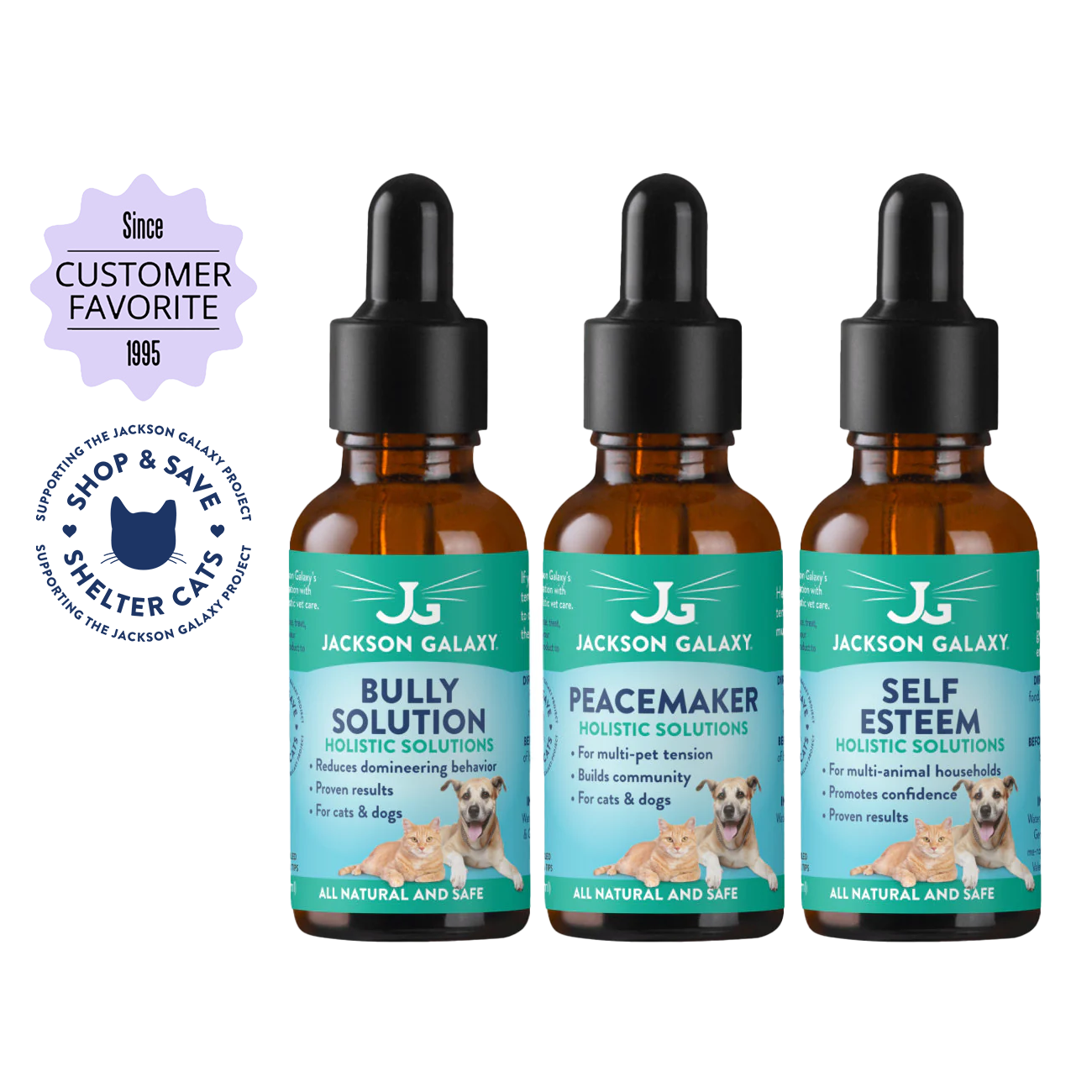 Cat Introductions Part 2: Welcome Home! – Jackson Galaxy