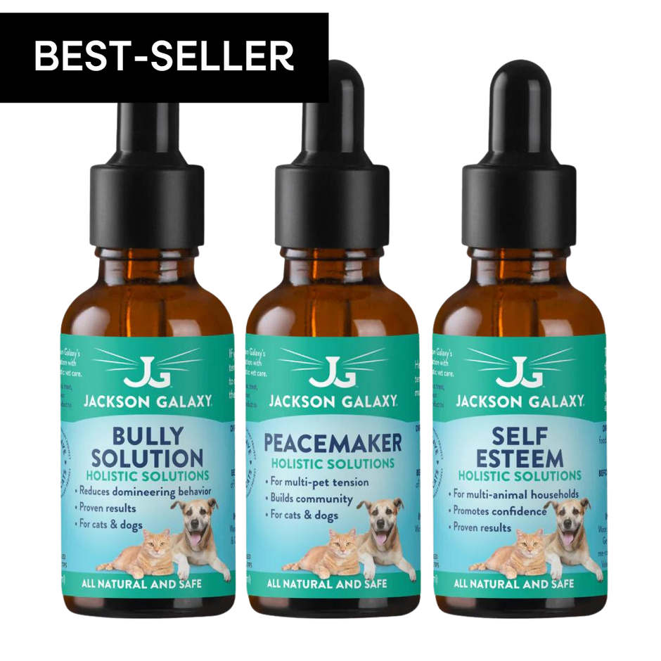 Behavior Solutions – Jackson Galaxy