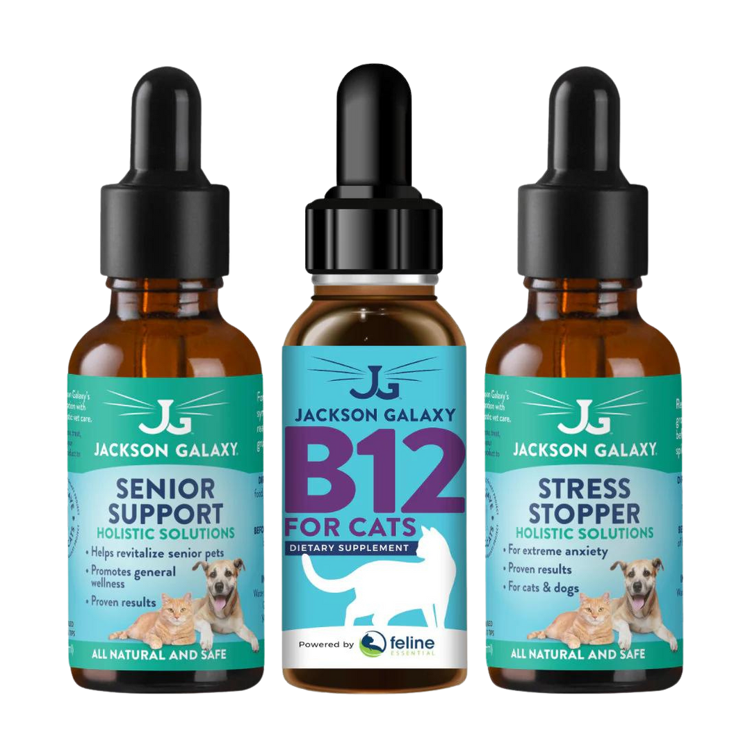 Senior Support – Jackson Galaxy