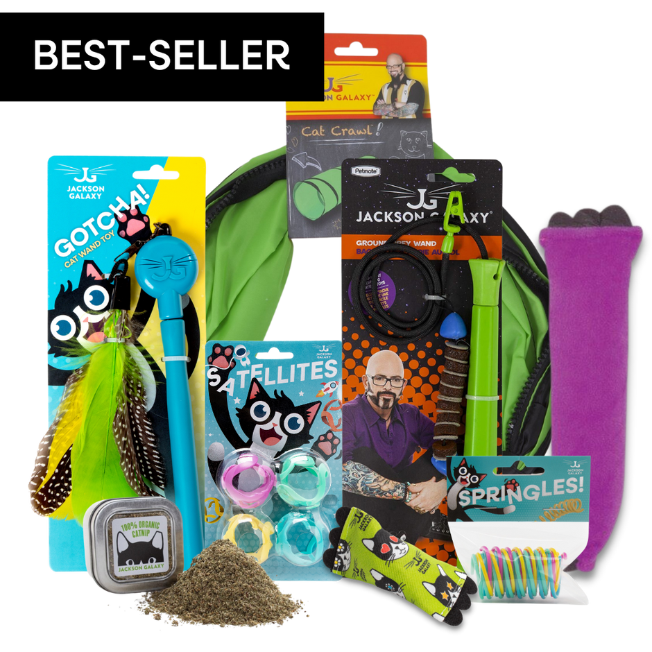 Jackson Galaxy Store