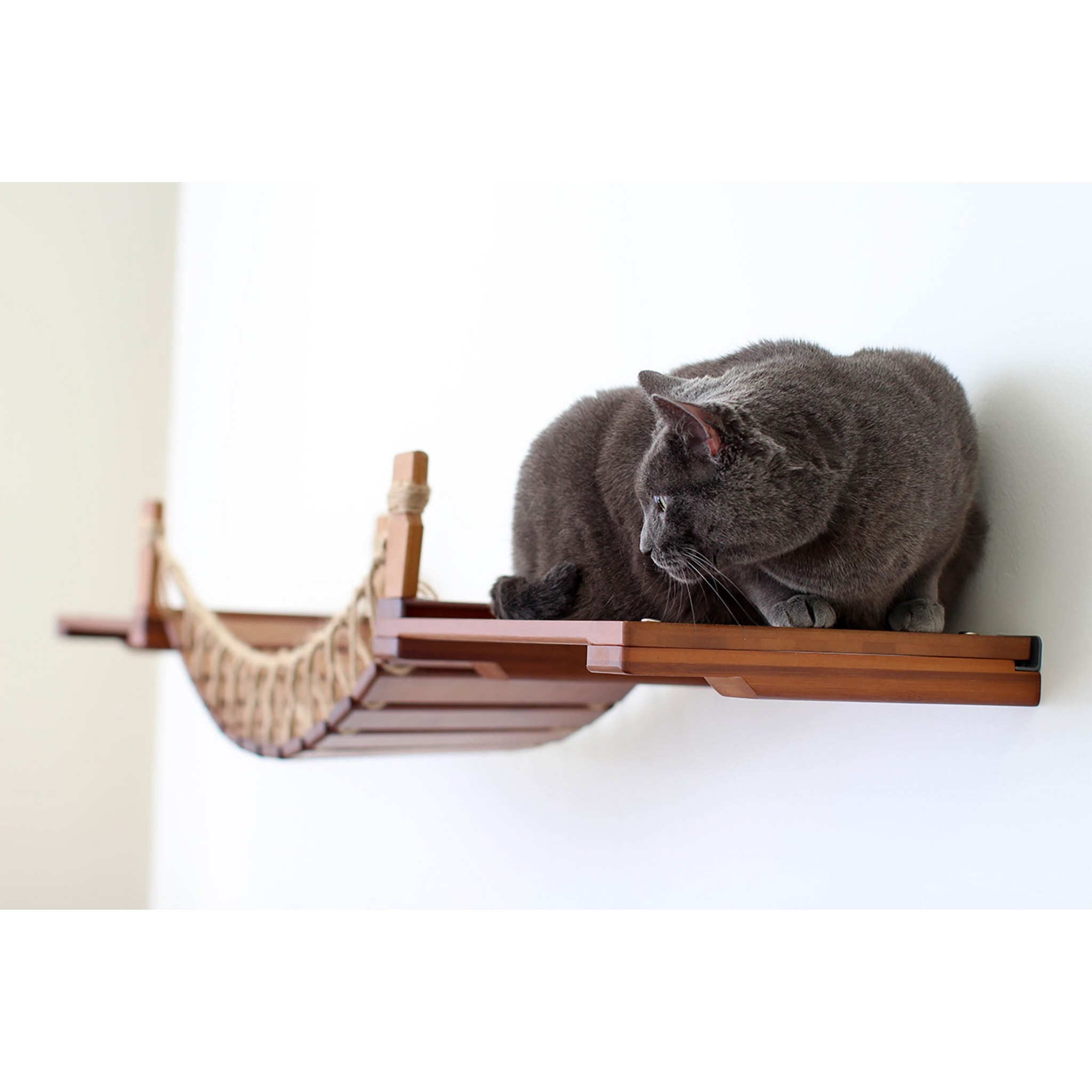Cat Suspension Bridge Cat Shelf Set Wall Mounted By Catastrophic C