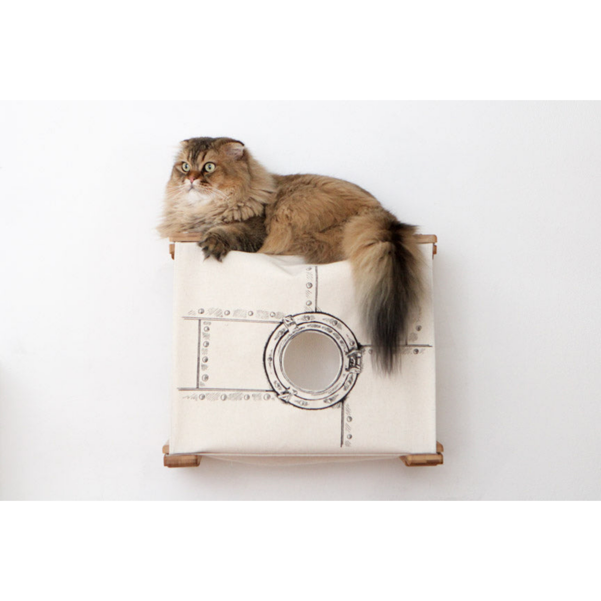 Cat Wall Cubby Enclosed Cat Bed By Catastrophic Creations Jackson