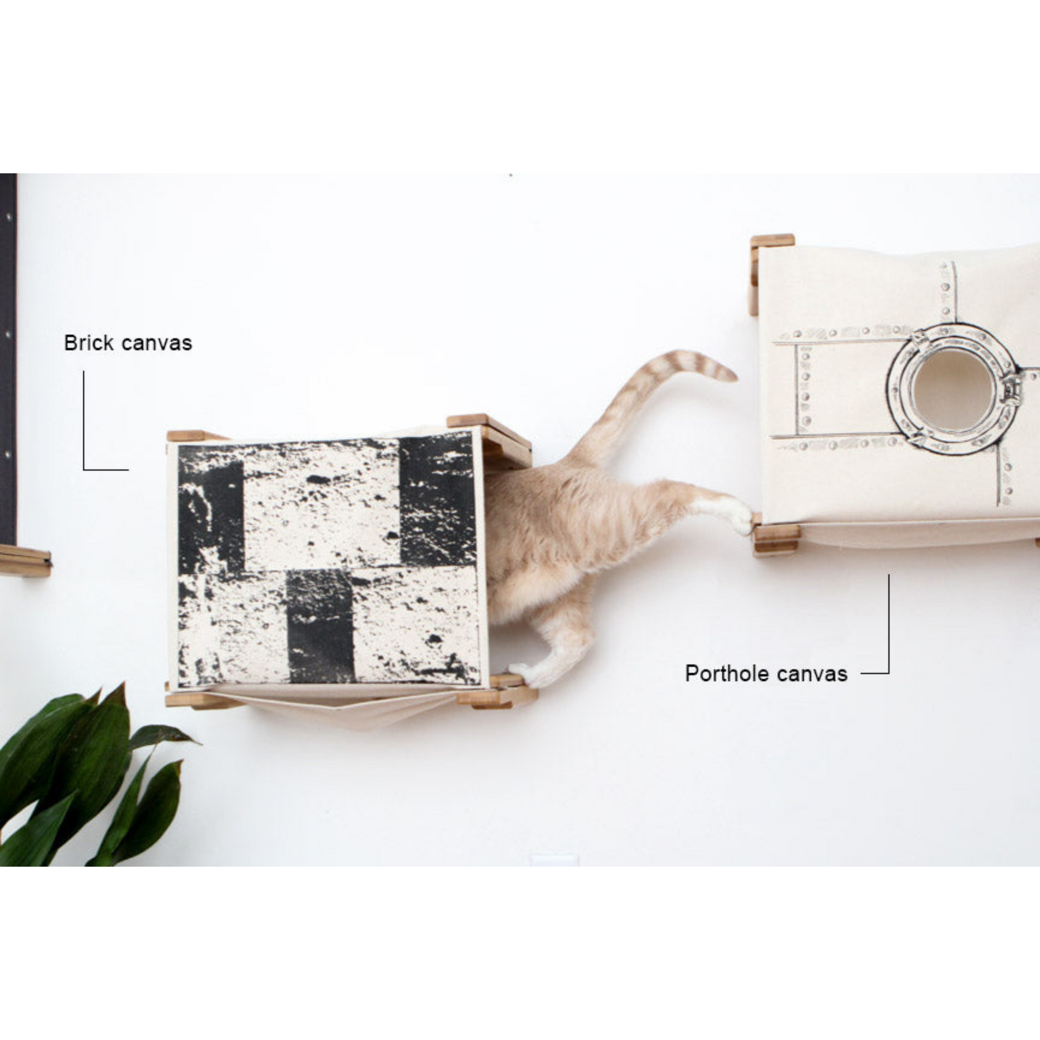 Cat Wall Cubby Enclosed Cat Bed By Catastrophic Creations Jackson