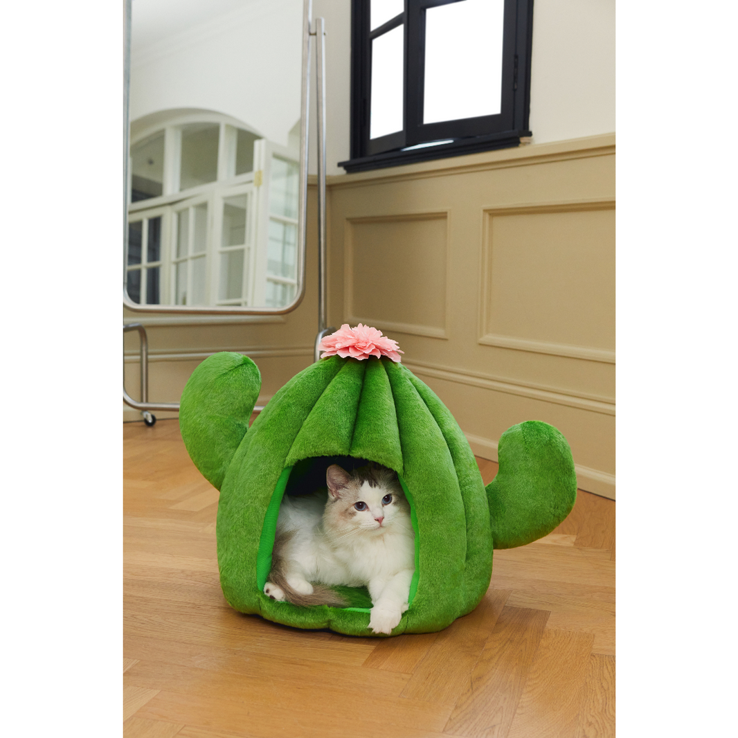 Catification - Cat Furniture by Jackson Galaxy